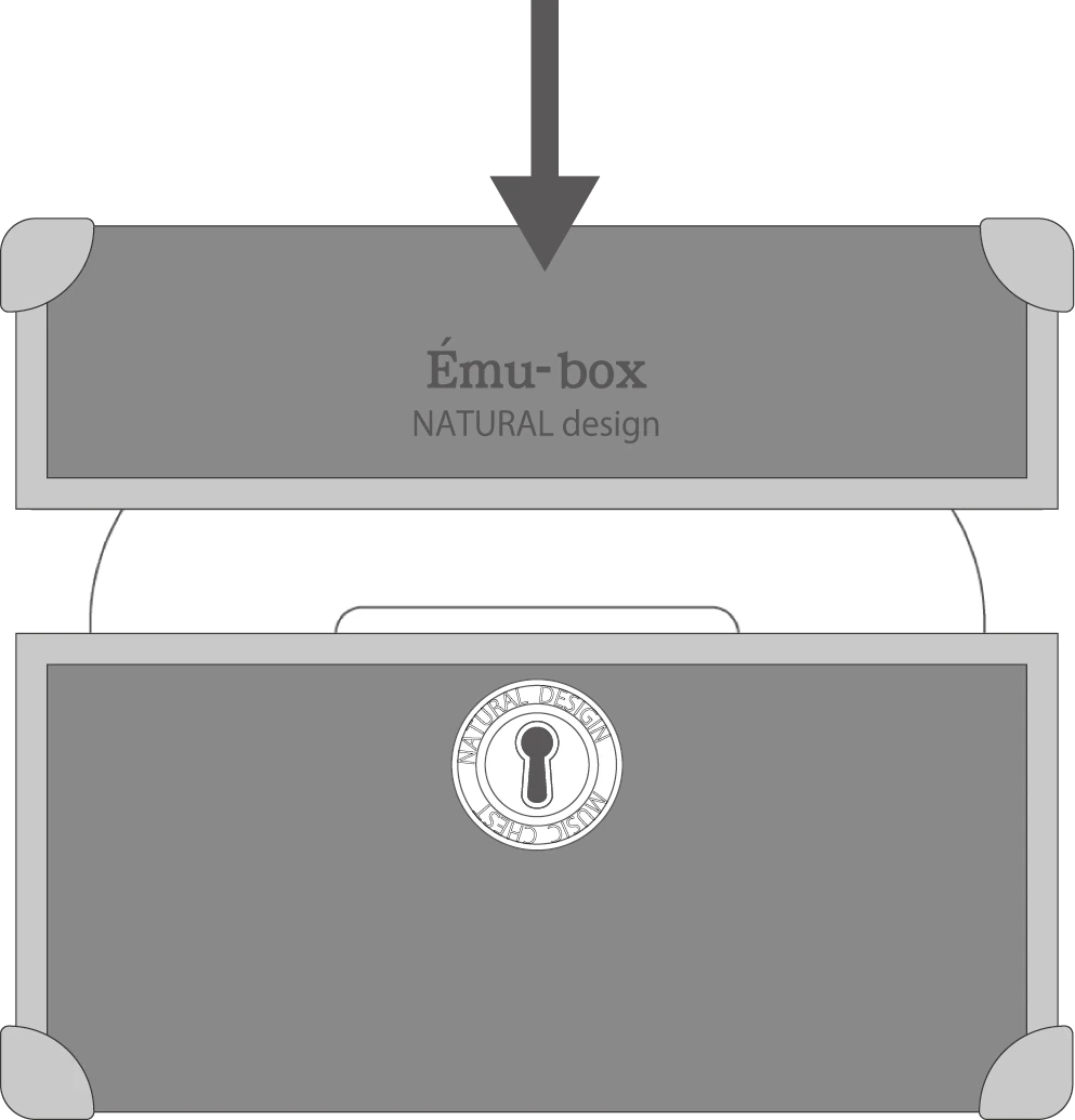 AirPods Pro専用ケース Emu-box｜レトロモダンデザイン＆120%楽しむ『遊べるケース』- NATURAL fun