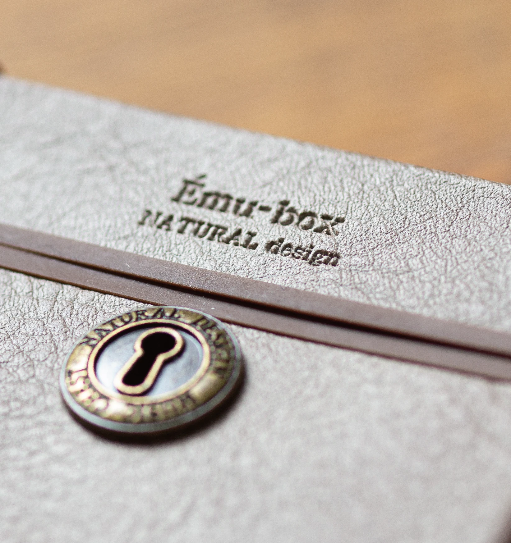 AirPods Pro専用ケース Emu-box｜レトロモダンデザイン＆120%楽しむ『遊べるケース』- NATURAL fun